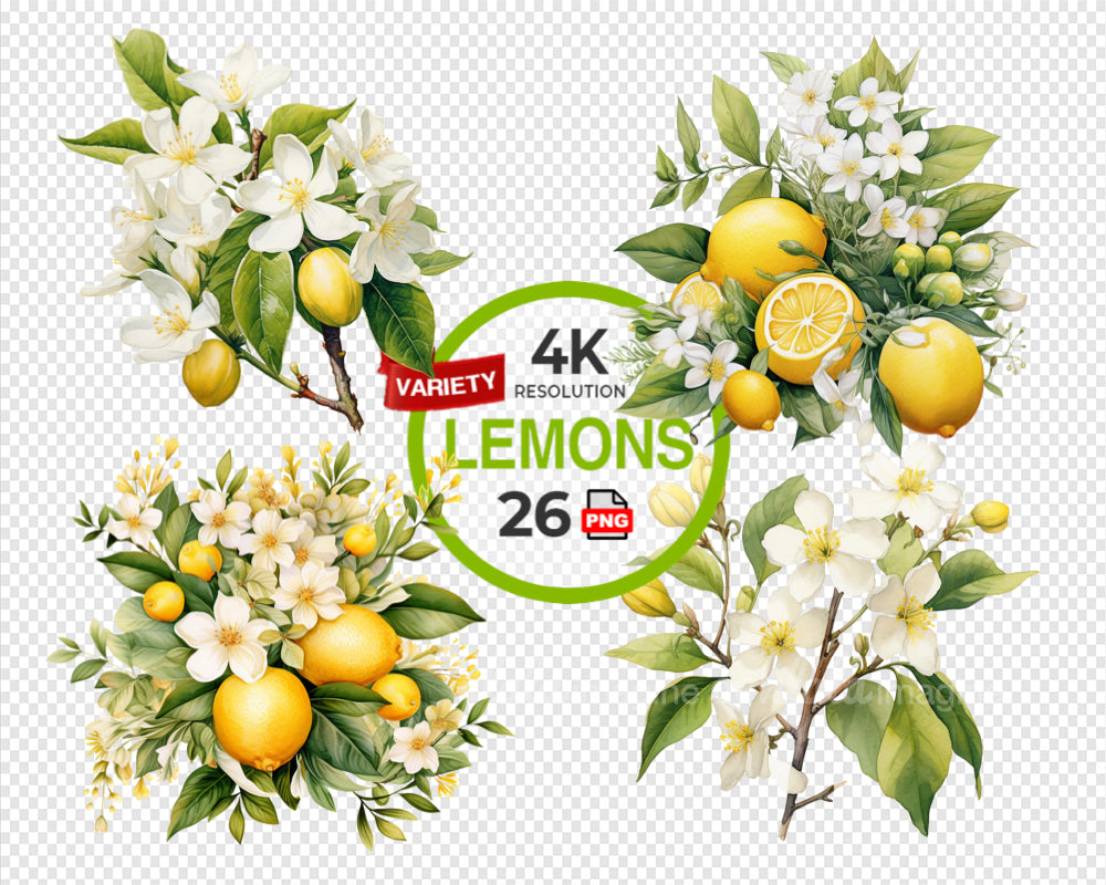 Lemons Variety Set Watercolor Clipart – XY ELEMENT