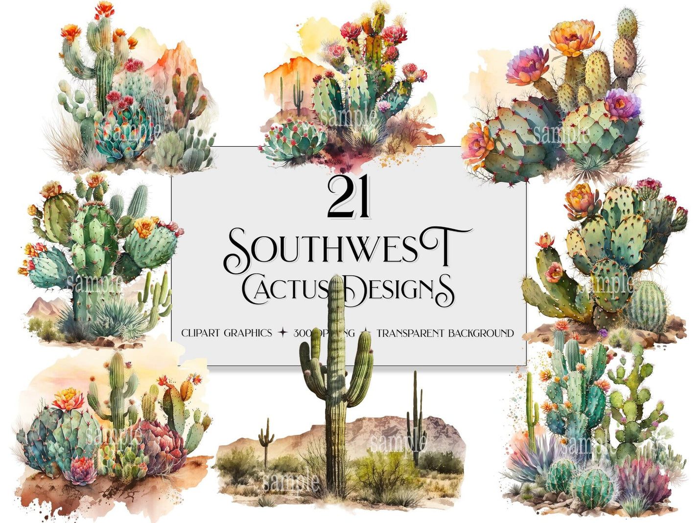 Southwest Cactus Clipart Desert Graphics – XY ELEMENT